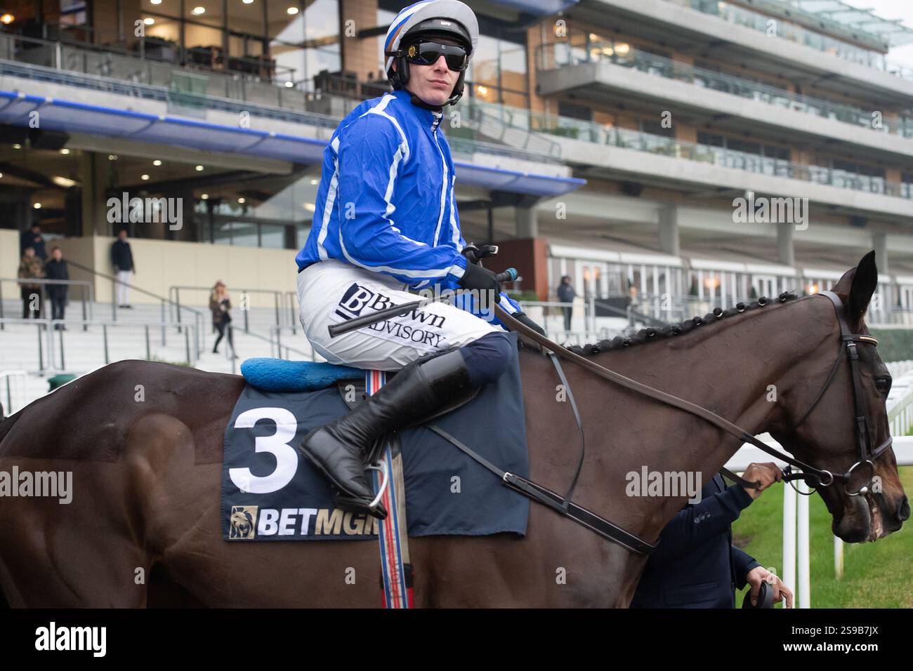 Ascot, Berkshire, UK. 18th January, 2025. ENERGUMENE ridden by jockey P ...