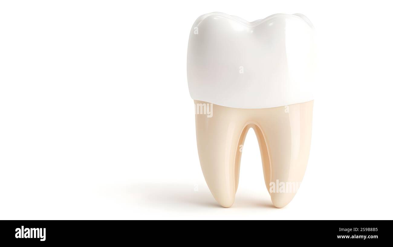 Detailed 3D Rendering of a Wisdom Tooth Medical Diagram Isolated on a ...