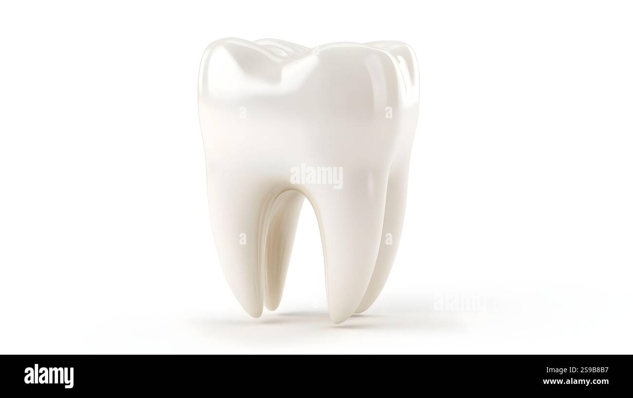 Detailed medical of a wisdom tooth showing the anatomical structure ...