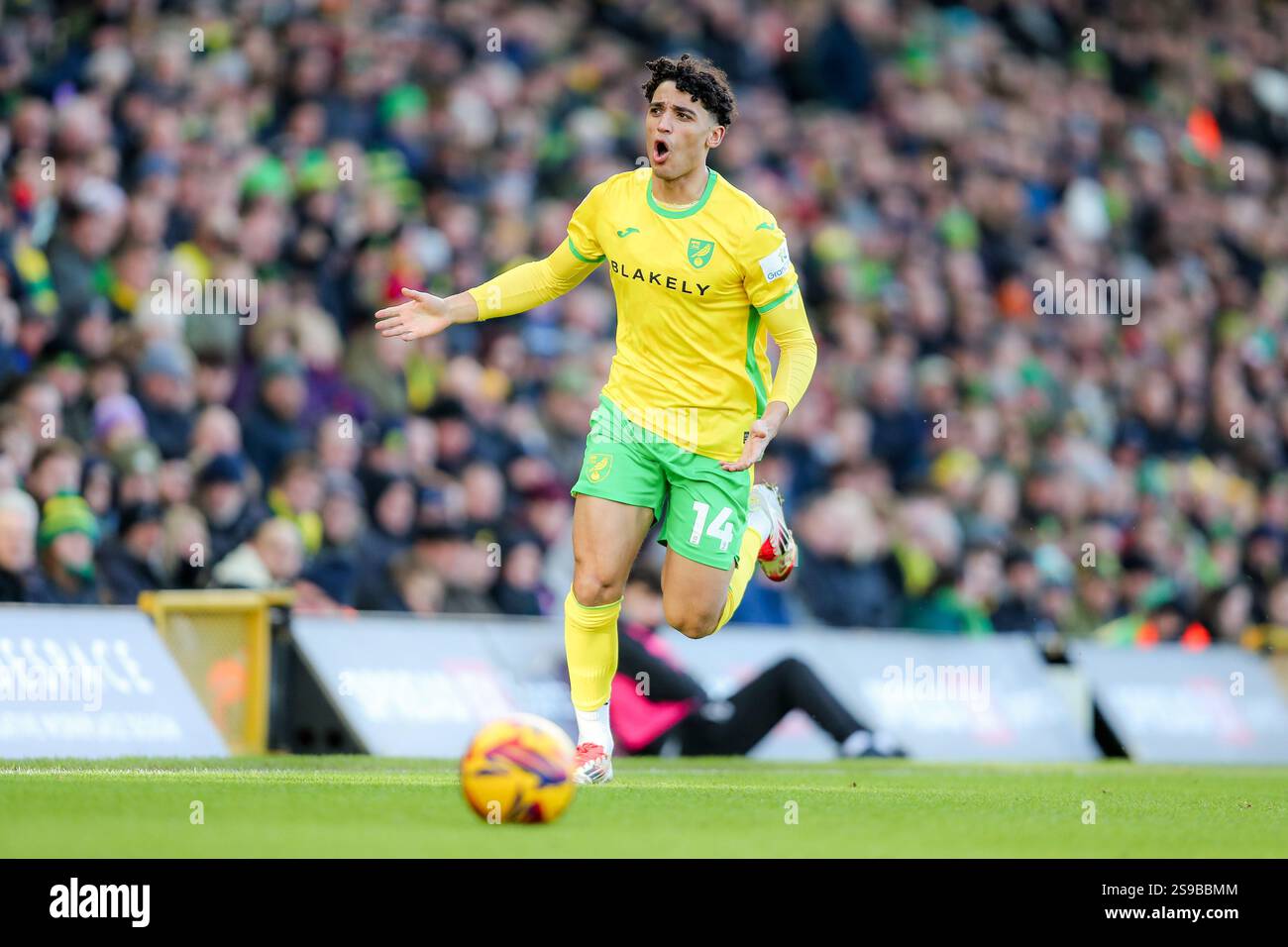 Ben Chrisene of Norwich City reacts during the Sky Bet Championship ...
