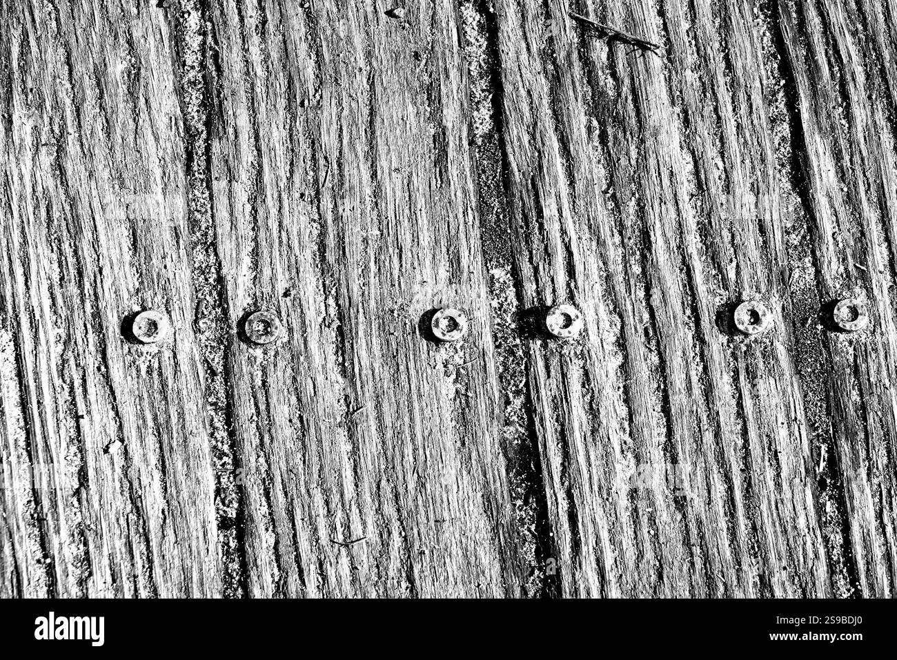 Old weathered planks with new star shaped screws in black and white ...