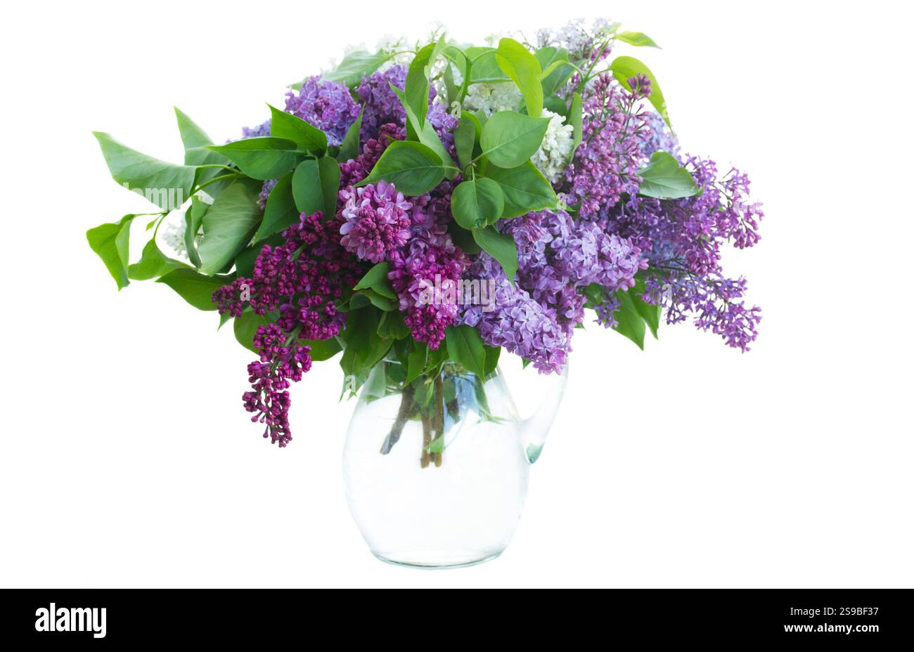 Bunch of fresh lilac Stock Photo - Alamy