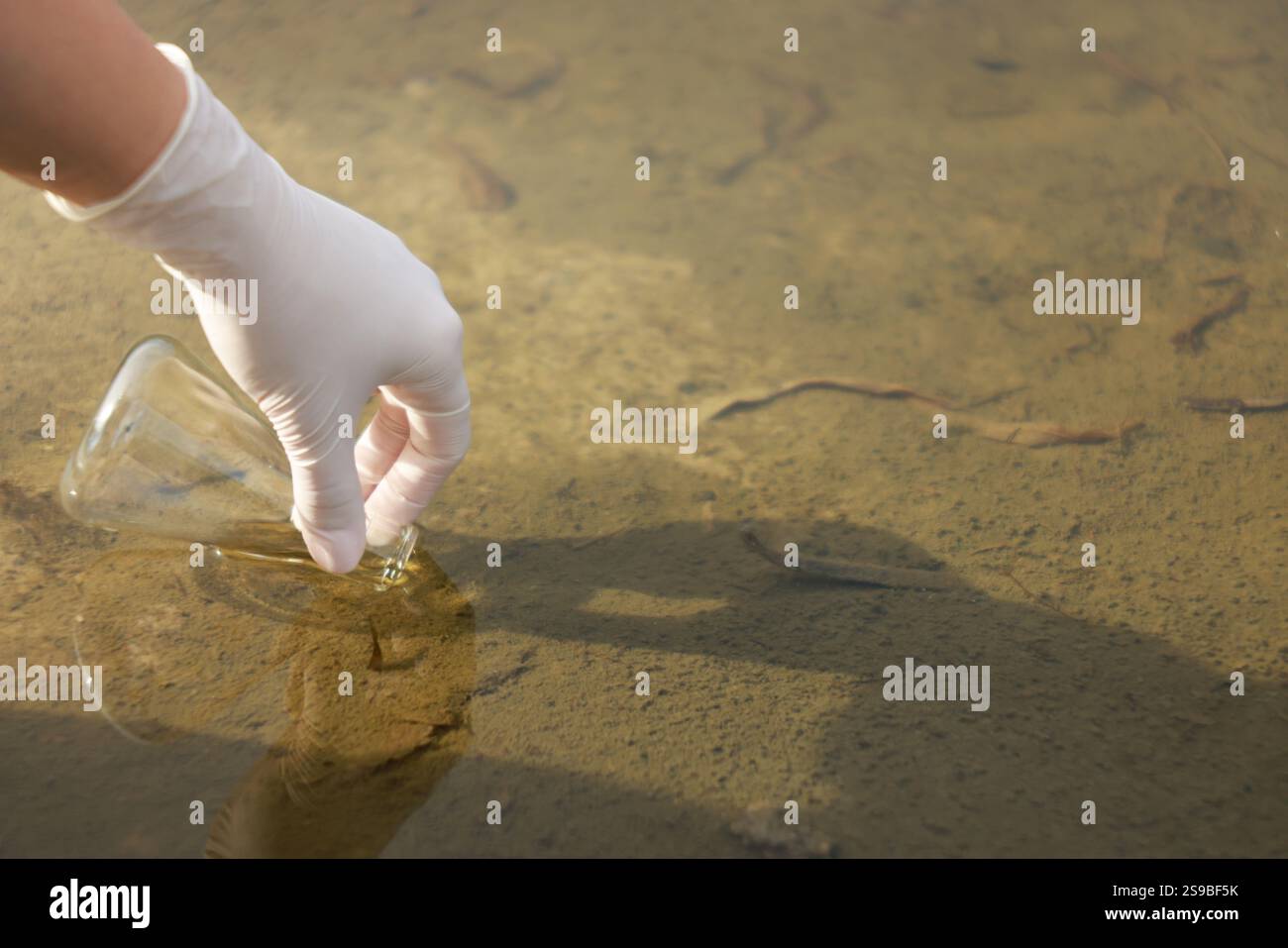 Examination of water quality. Researcher taking water sample from lake ...