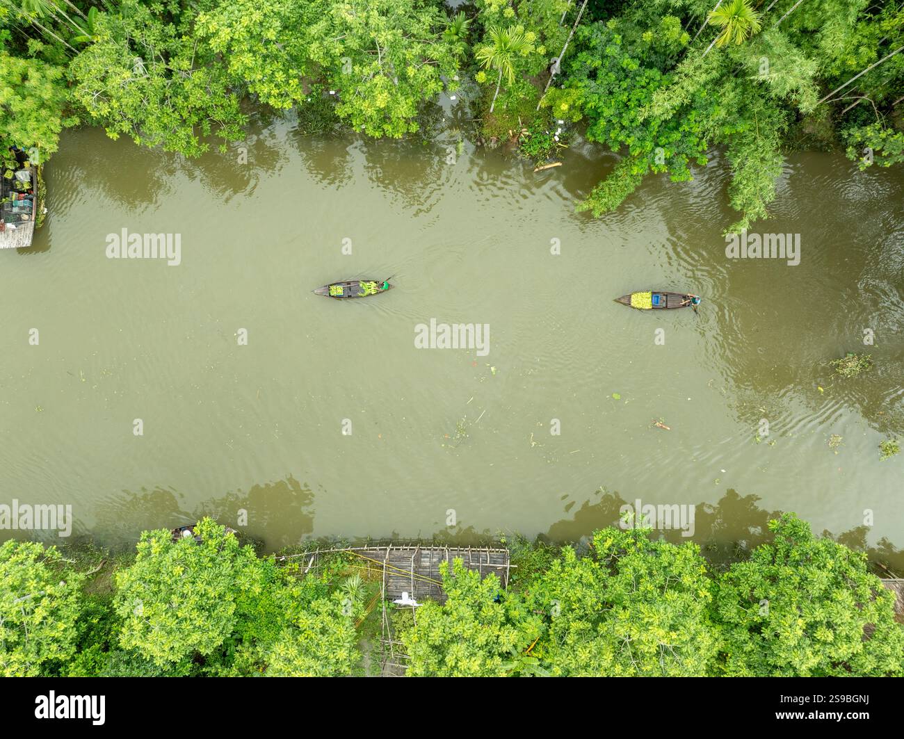 Aerial view of a boat sailing at floating guava garden with beautiful ...