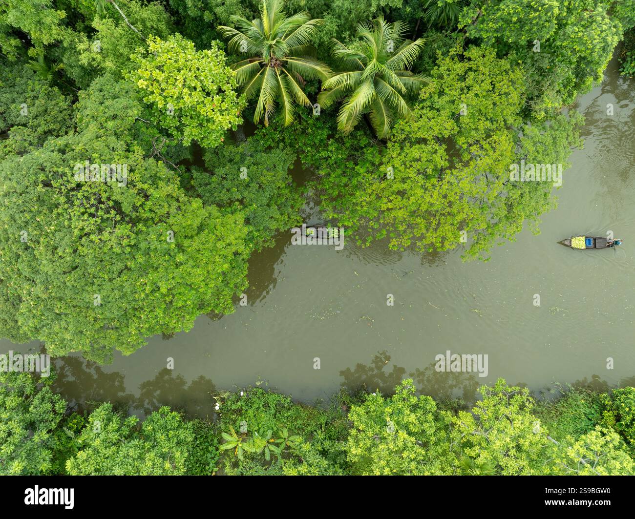 Aerial view of a boat sailing at floating guava garden with beautiful ...