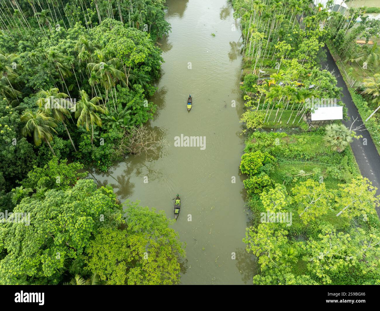 Aerial view of a boat sailing at floating guava garden with beautiful ...