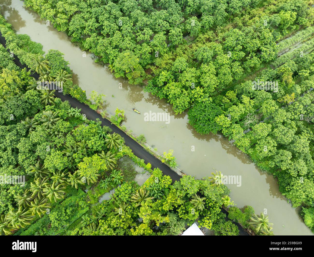 Aerial view of a boat sailing at floating guava garden with beautiful ...