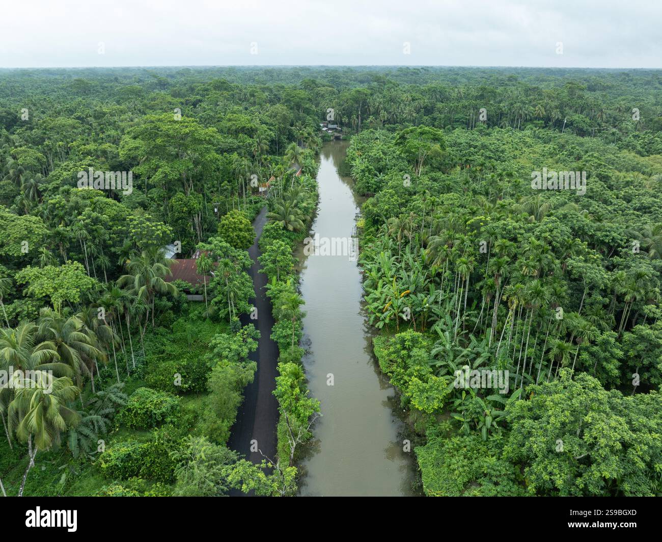 Aerial view of a boat sailing at floating guava garden with beautiful green landscape in ...