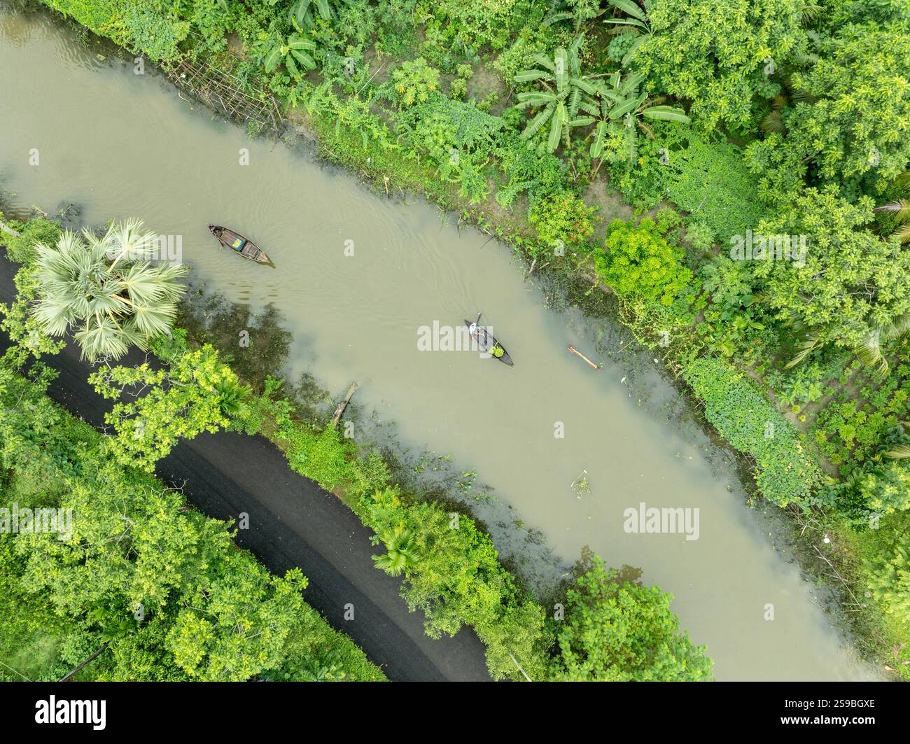Aerial view of a boat sailing at floating guava garden with beautiful ...
