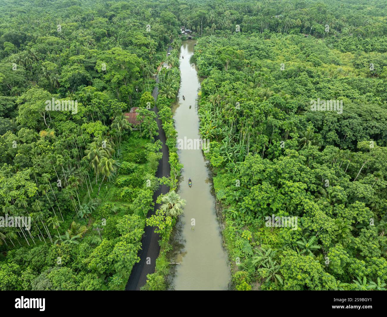 Aerial view of a boat sailing at floating guava garden with beautiful ...
