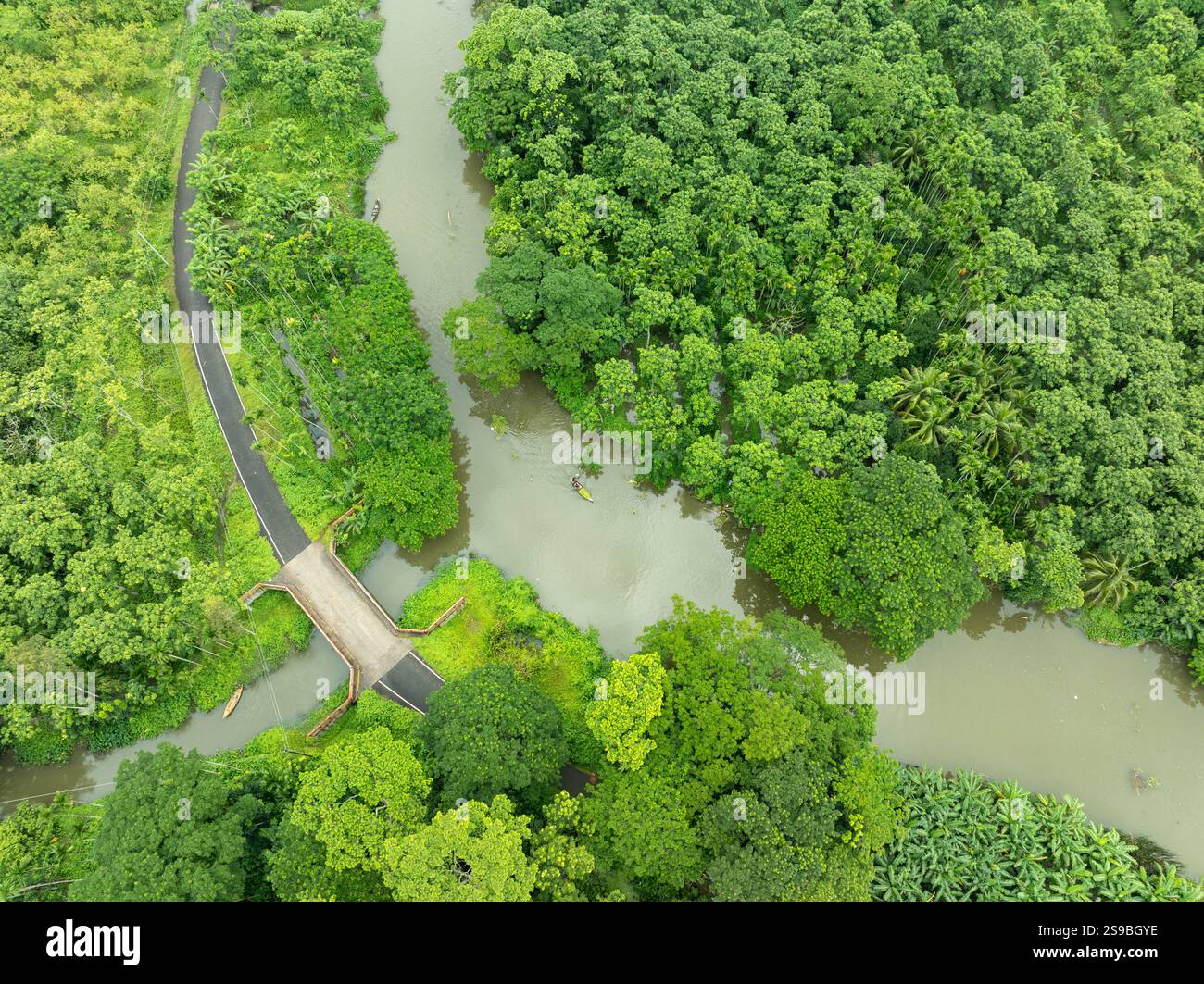 Aerial view of a boat sailing at floating guava garden with beautiful ...