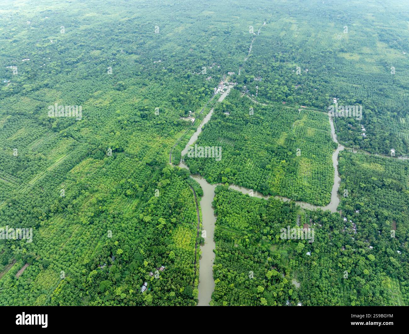 Aerial view of a boat sailing at floating guava garden with beautiful ...