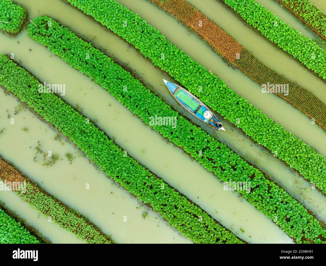 Aerial view of traditional floating garden of vegetable, navigating the ...