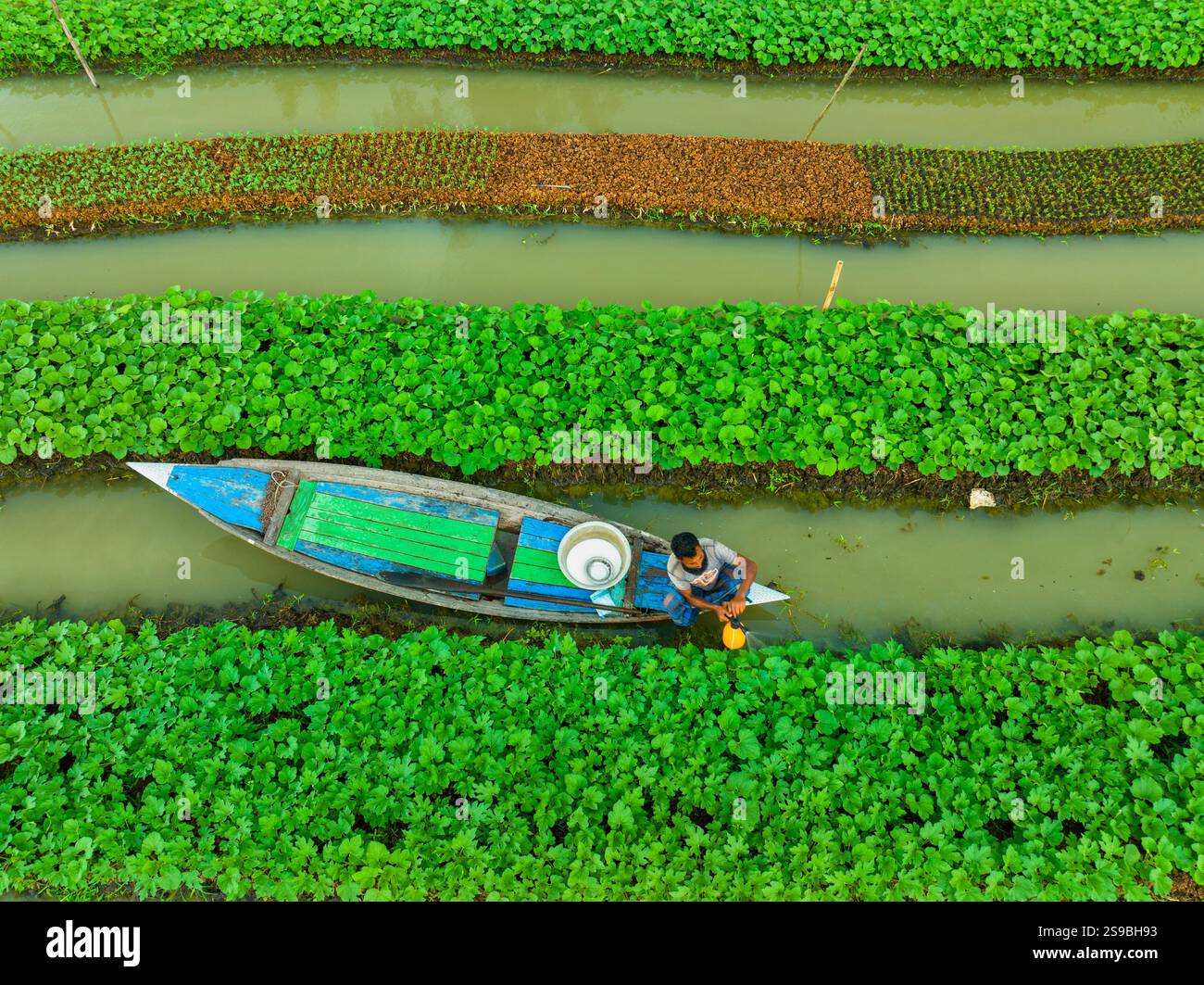 Aerial view of traditional floating garden of vegetable, navigating the channels between them by ...