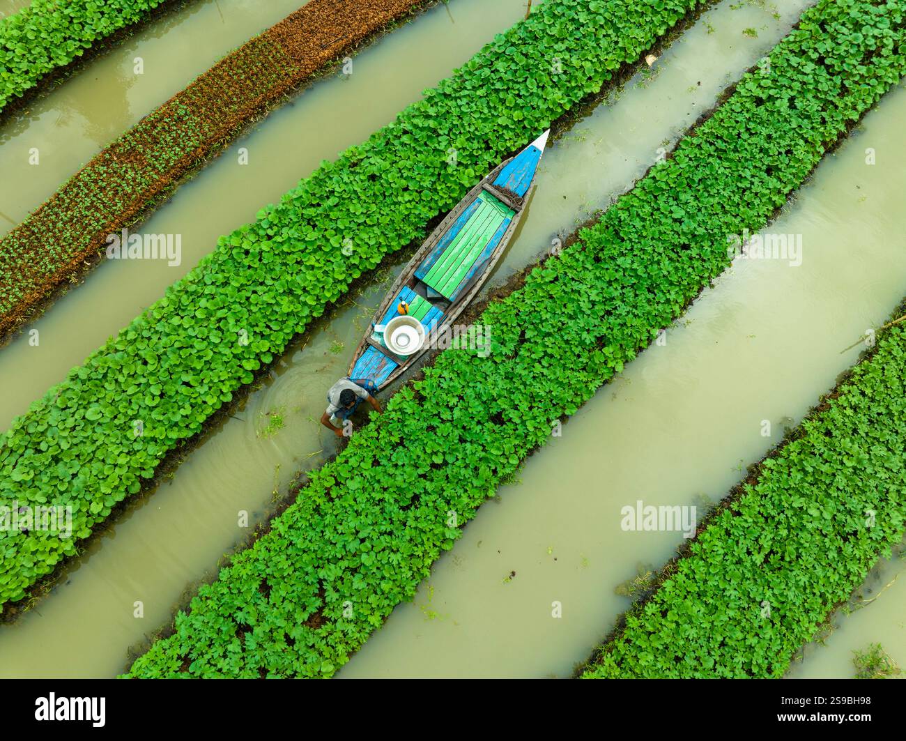 Aerial view of traditional floating garden of vegetable, navigating the channels between them by ...