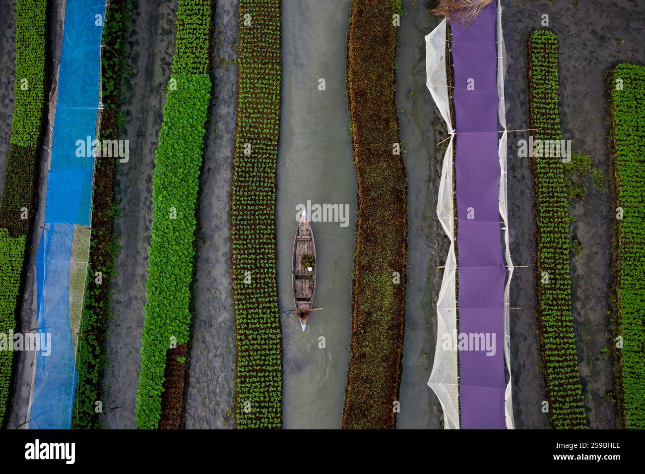 Aerial view of traditional floating garden of vegetable, navigating the ...