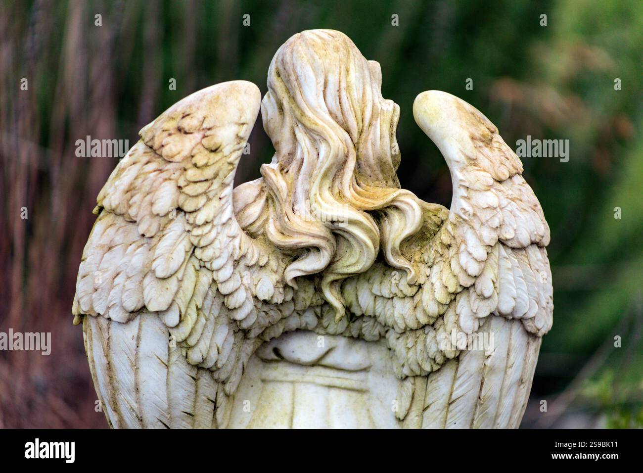 Reverse view of a stone angel statue at Blackburn Cemetery Stock Photo ...