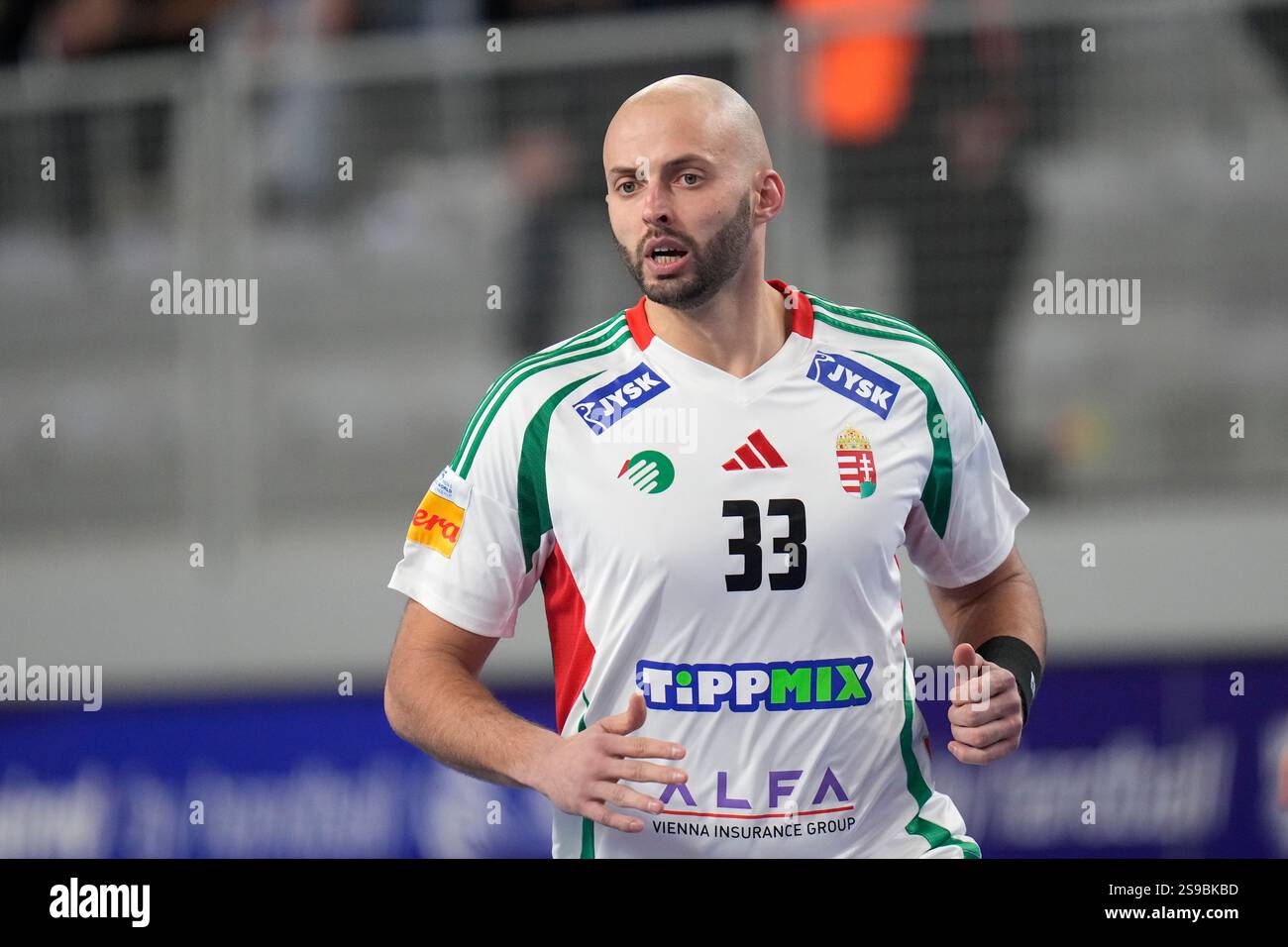Hungary's Gabor Ancsin during the main round match between Qatar and ...