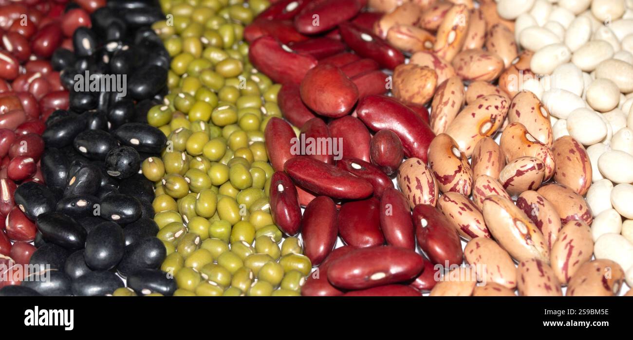 A Close Up of Dried Mixed Beans and Pulses in Lines on a White ...