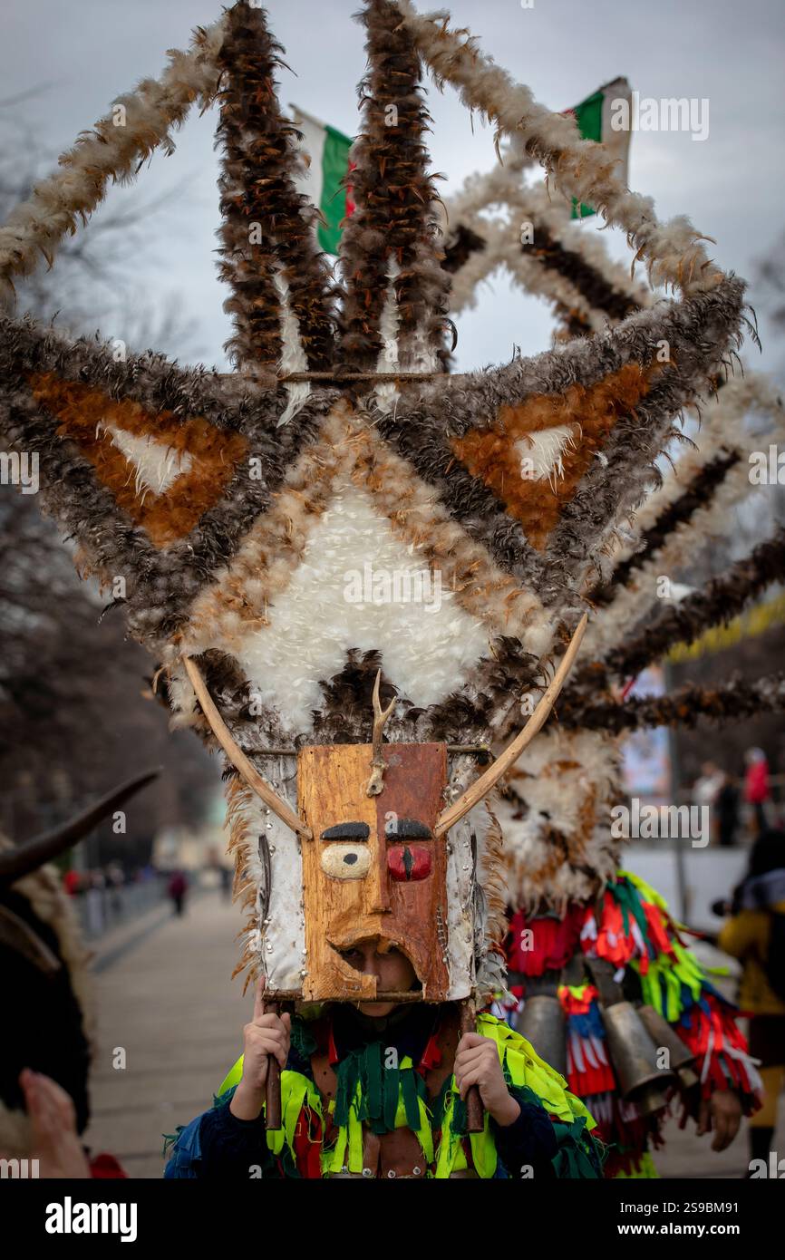 Pernik, Bulgaria - January 24, 2025: 31st Anniversary Masquerade ...