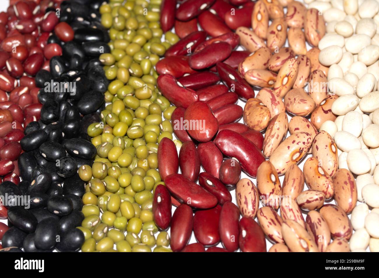 A Close Up of Dried Mixed Beans and Pulses in Lines on a White ...