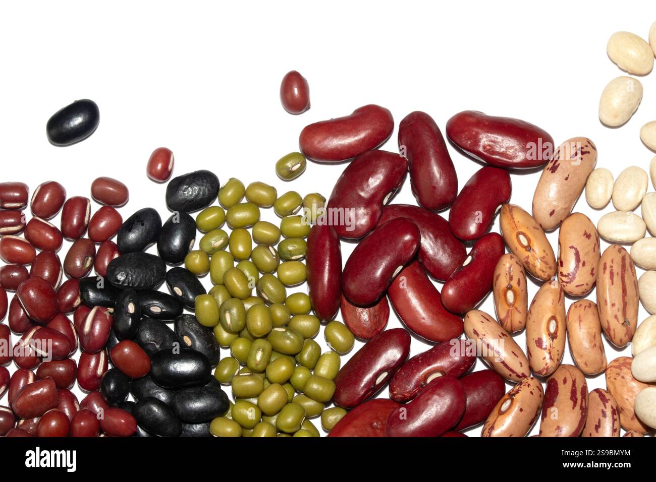 A Close Up of Dried Mixed Beans and Pulses in Lines on a White ...
