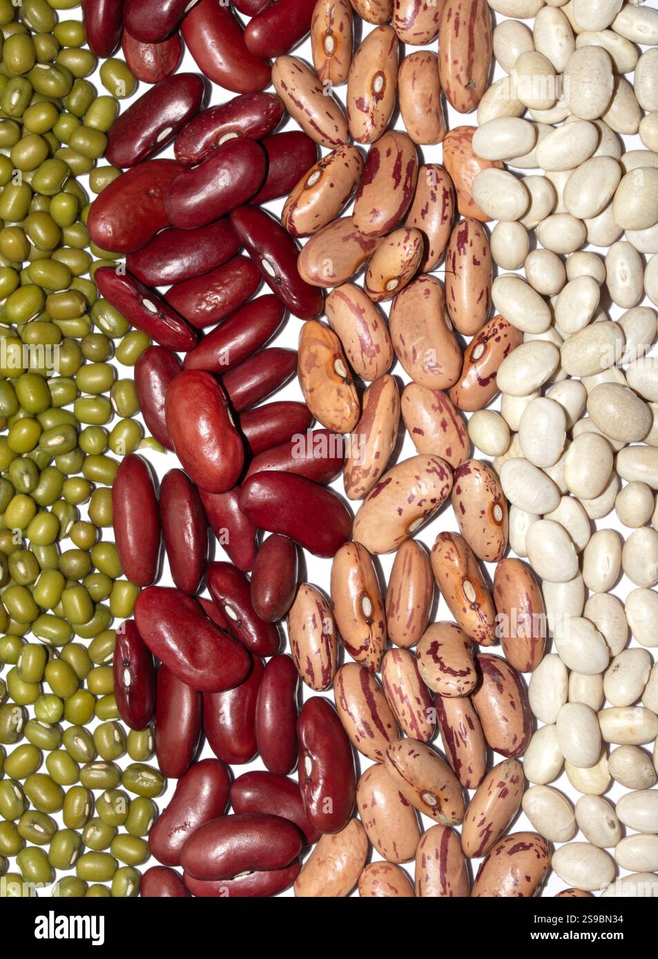 A Close Up of Dried Mixed Beans and Pulses in Lines on a White ...