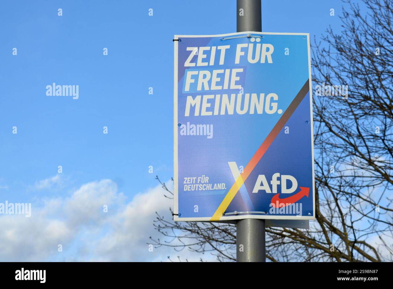 Heidelberg, Germany - January 25th 2025: Election poster for federal ...