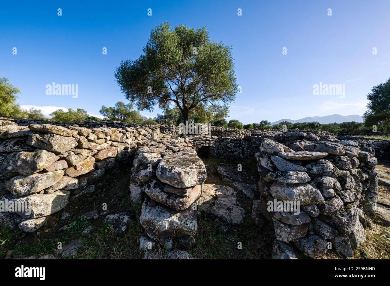 Ruins of the Nuragic complex of Serra Orrios from the 2nd millennium BC ...