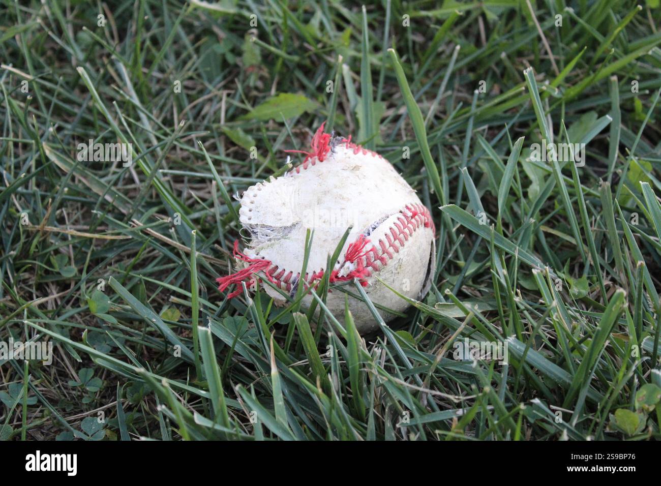 Vintage baseball aesthetic hi-res stock photography and images - Alamy