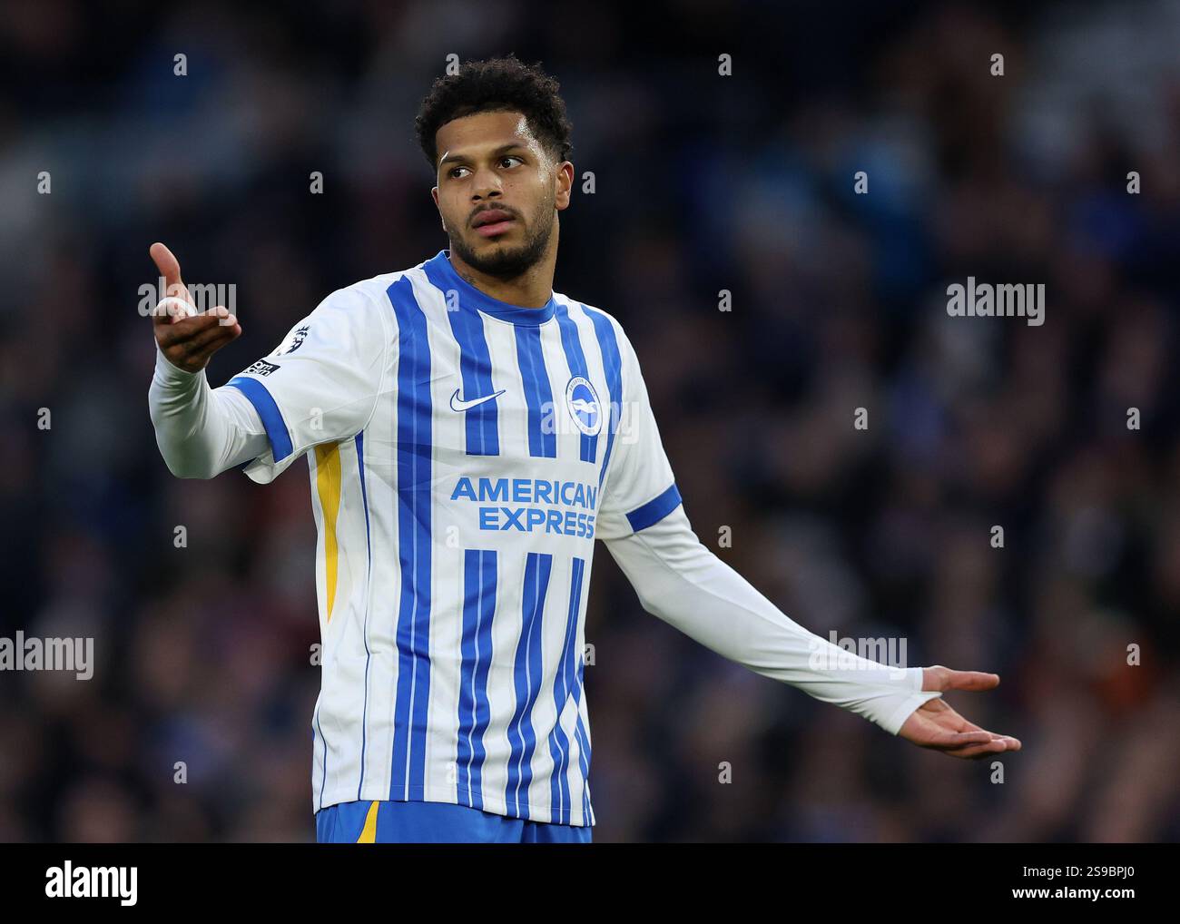 Brighton and Hove, England, 25th January 2025. Georginio Rutter of ...