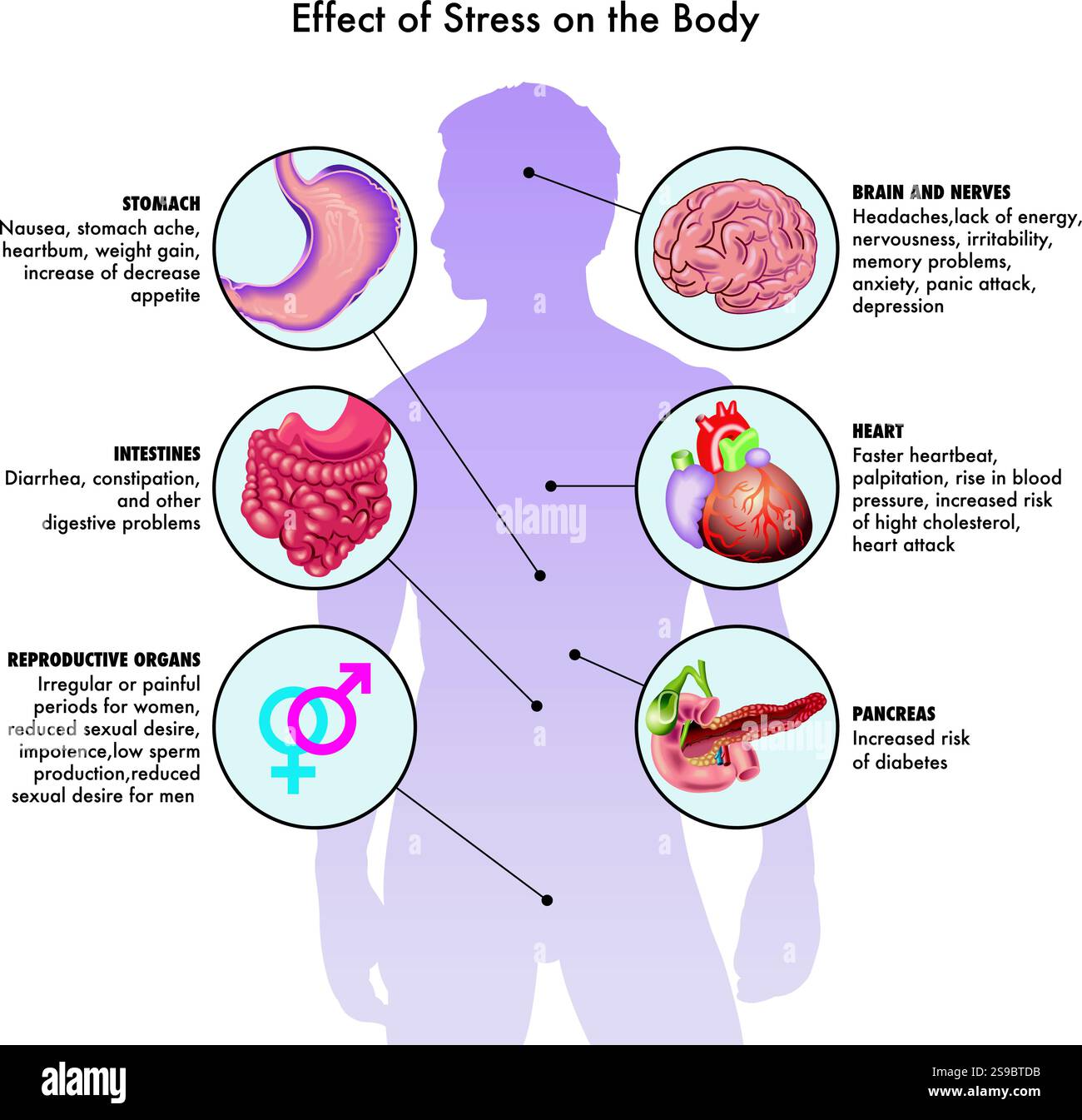 Medical illustration of effect of stress on the body, with annotations ...
