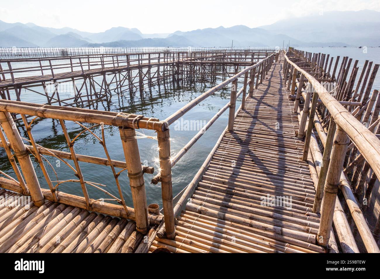 Bamboo structures at a local fishpond in Lake Buhi known for tilapia ...