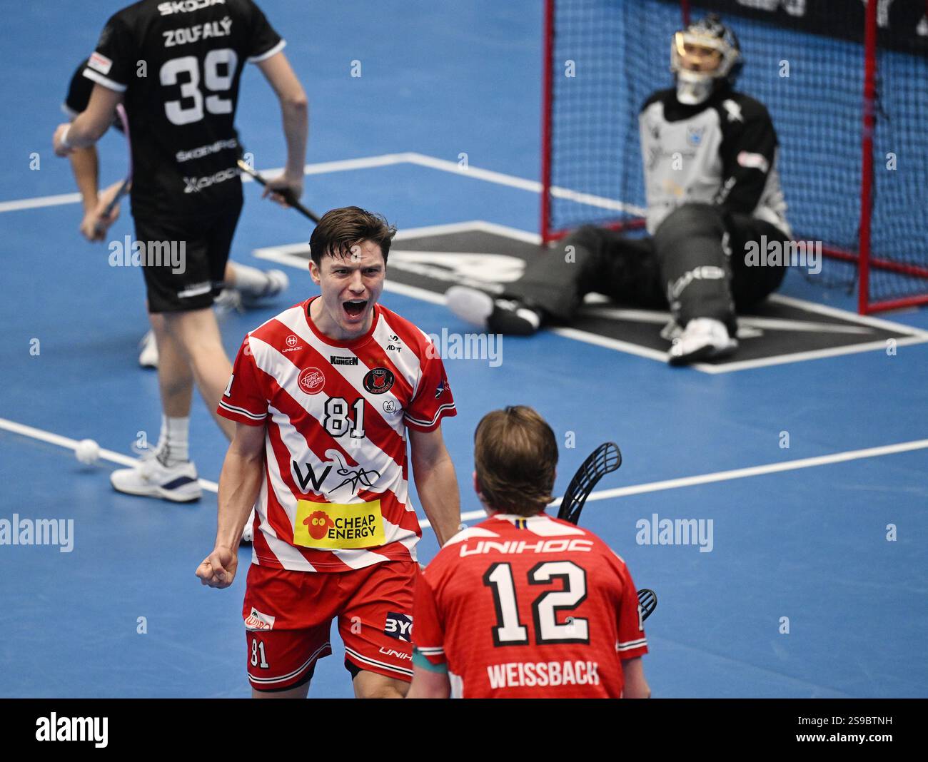 Gustav Fritzell of Pixbo reacts after the fifth goal during the Men's ...