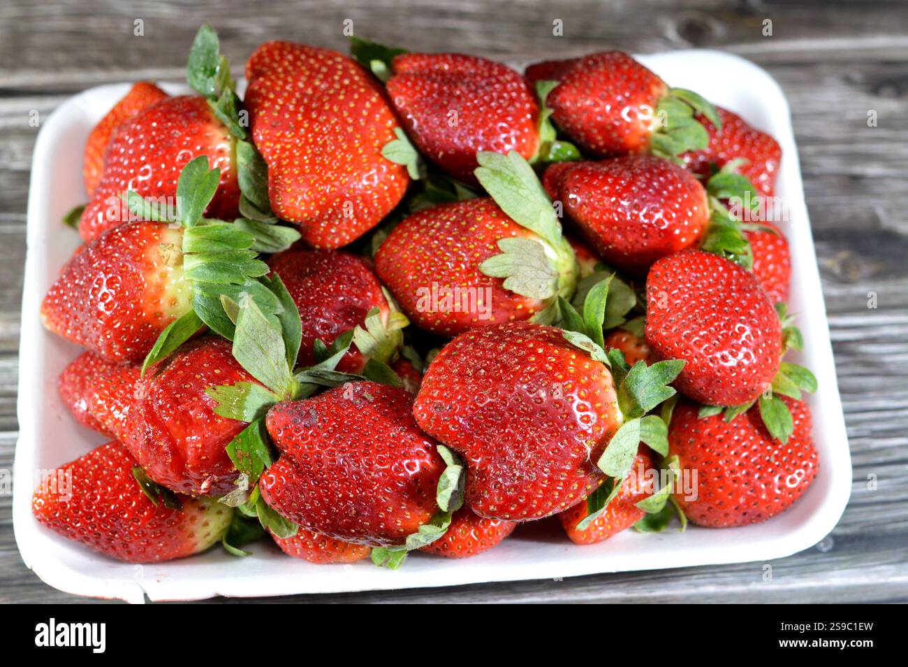 Strawberry fruit, a widely grown hybrid species of the genus Fragaria ...