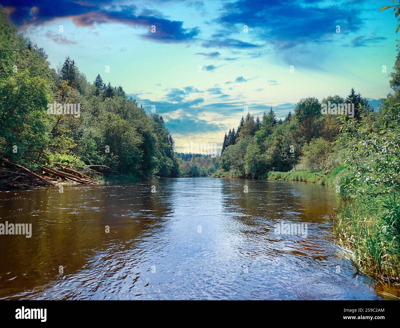 Exploring the Remote Beauty of the Upper Volga River in Russia Stock ...