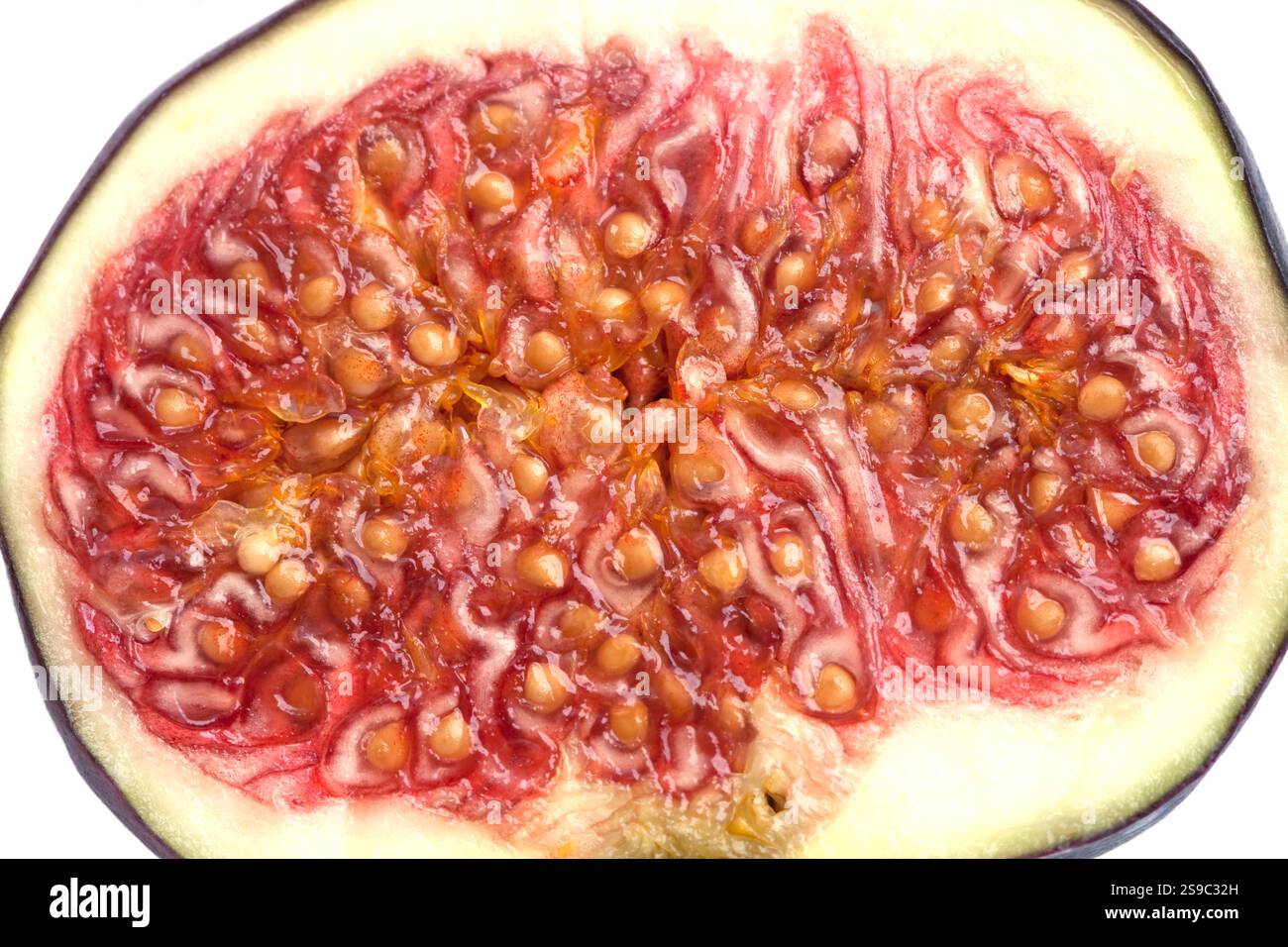 Cross-section of fig tree fruit isolated on white Stock Photo - Alamy