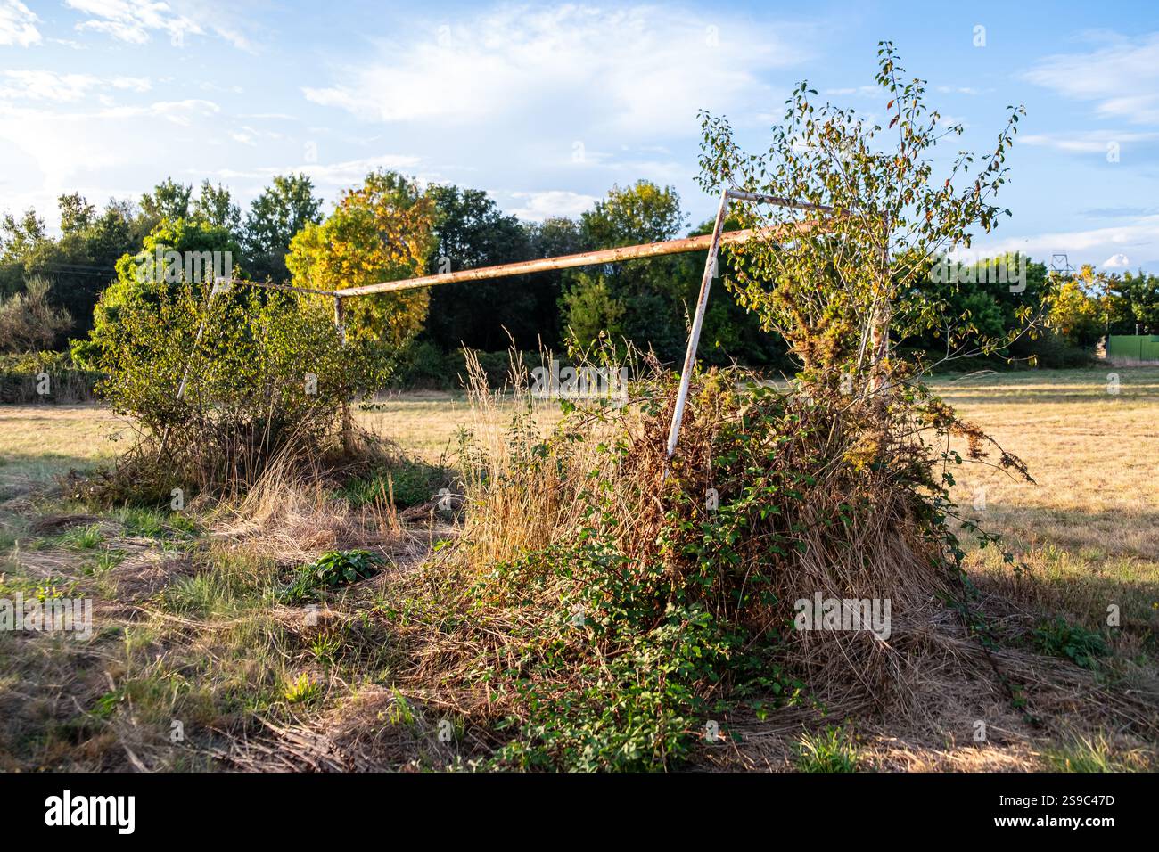 old and rusty football goal covered by bushes on an abandoned soccer ...