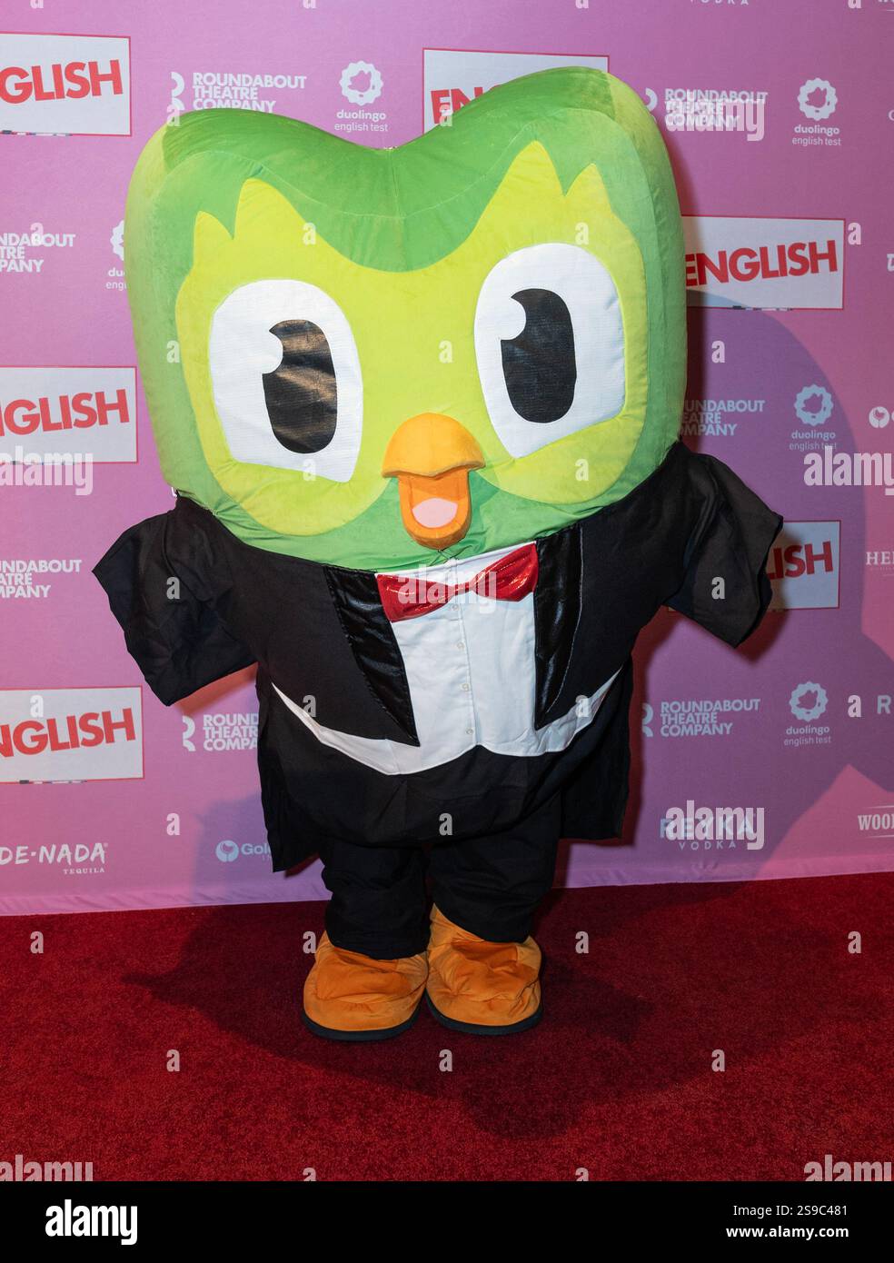 Duolingo mascot attends Broadway Opening night of play 'English ...