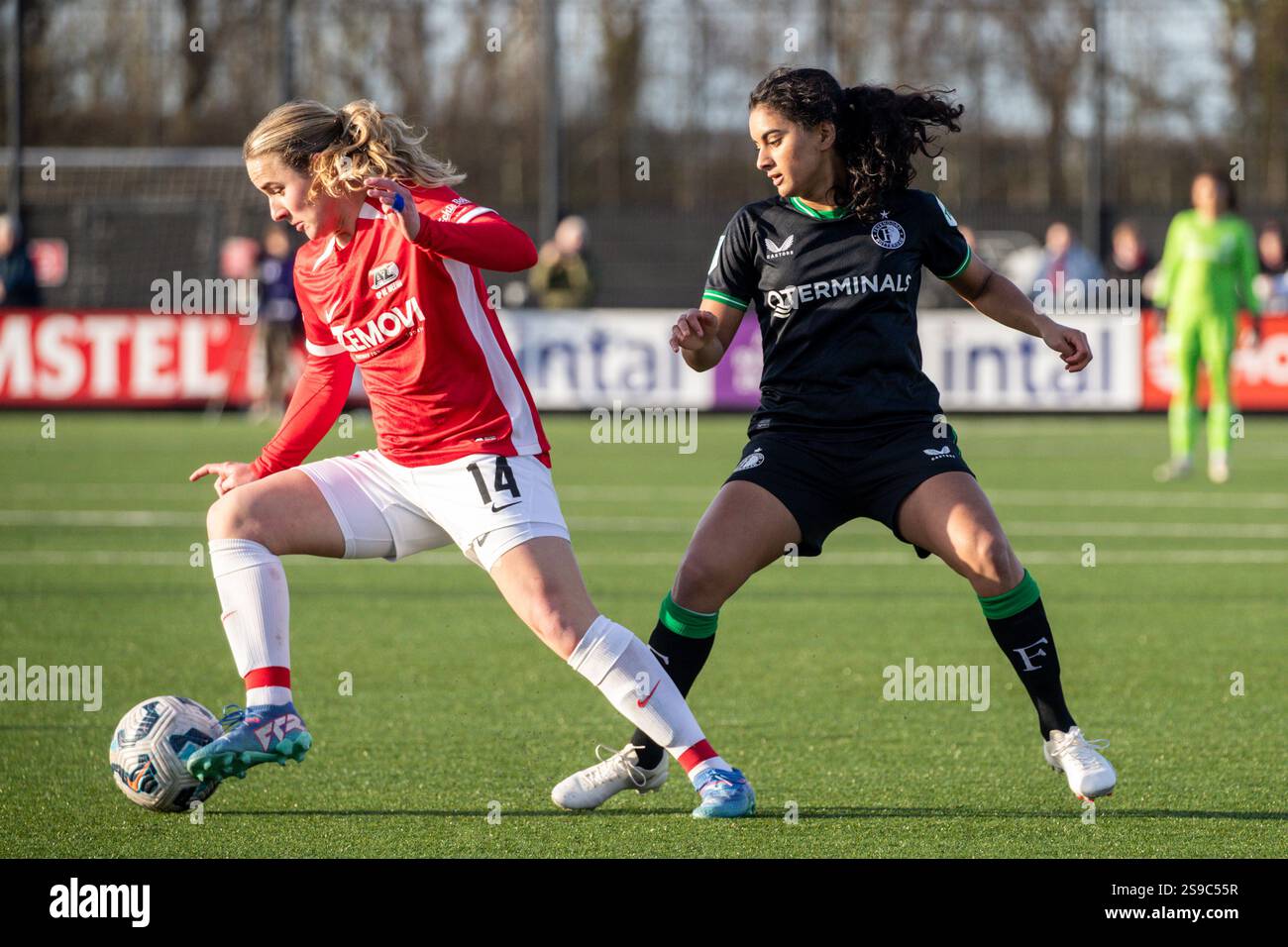 Bo op de weegh hi-res stock photography and images - Alamy