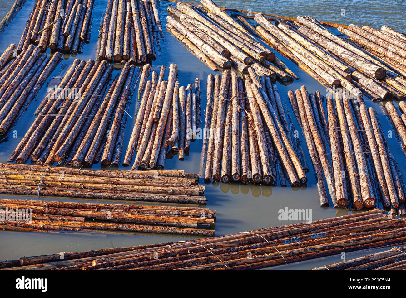 Columbia river log storage hi-res stock photography and images - Alamy
