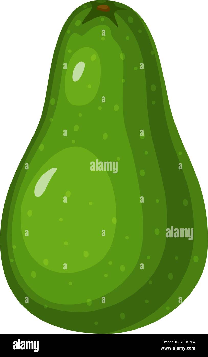 Whole avocado fruit with stem is showing its vibrant green color and ...