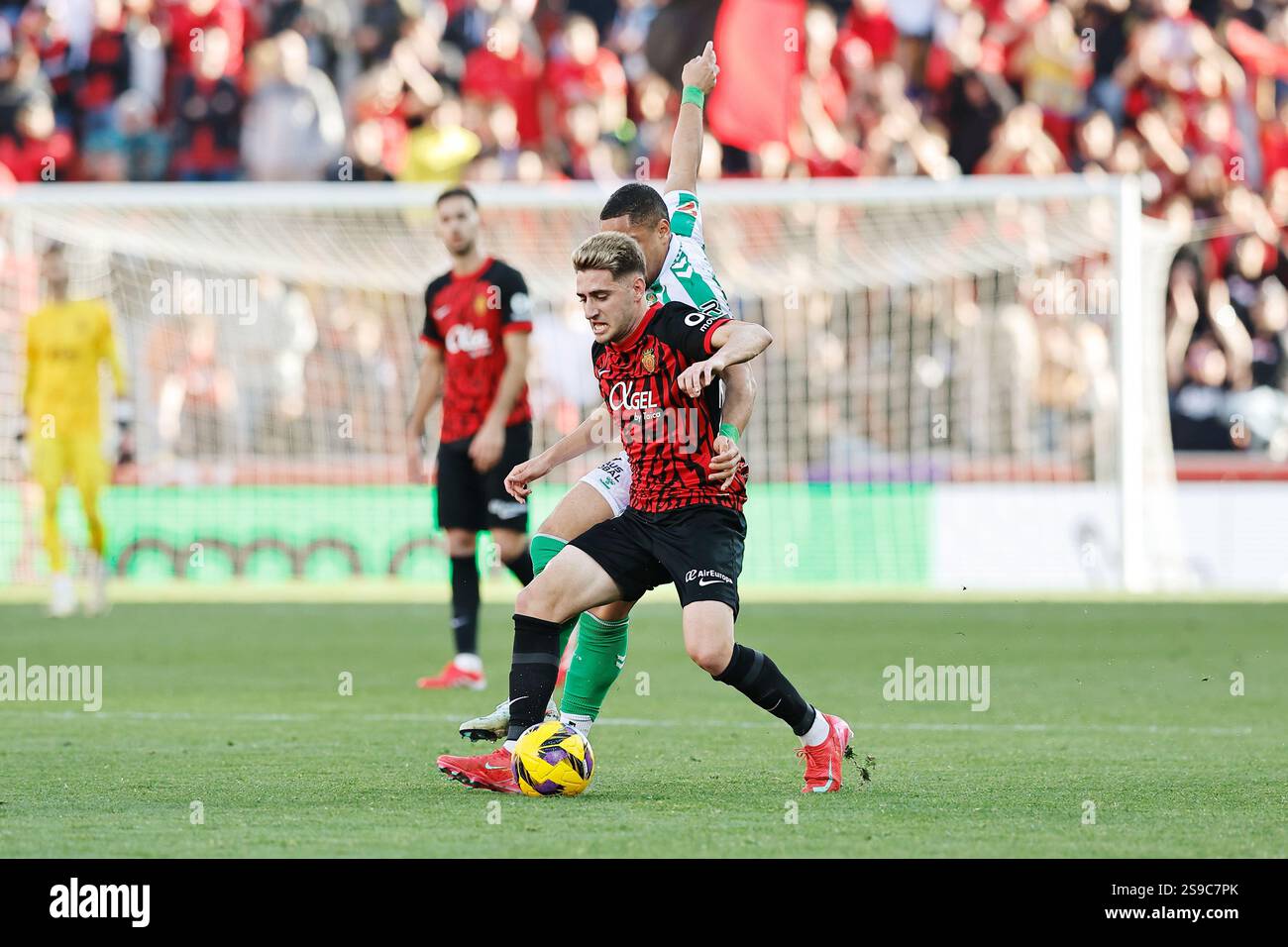 Roberto Navarro (Mallorca), JANUARY 25, 2025 - Football / Soccer ...