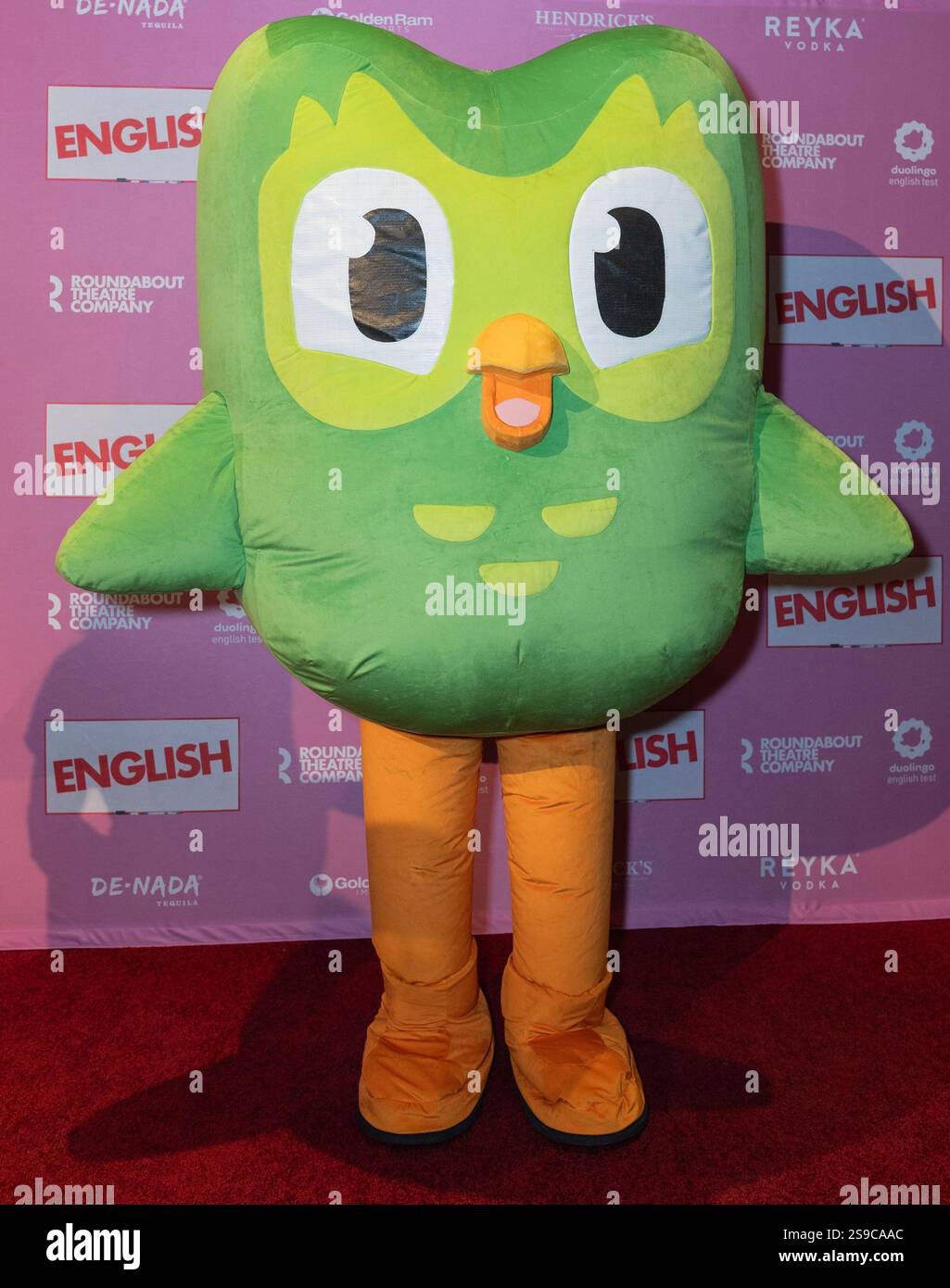 Duolingo mascot attends Broadway Opening night of play 'English ...