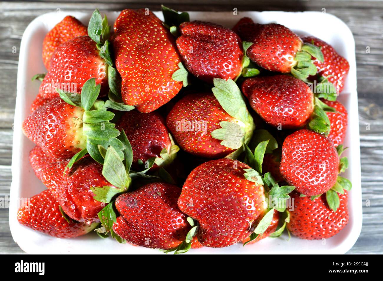 Strawberry fruit, a widely grown hybrid species of the genus Fragaria ...
