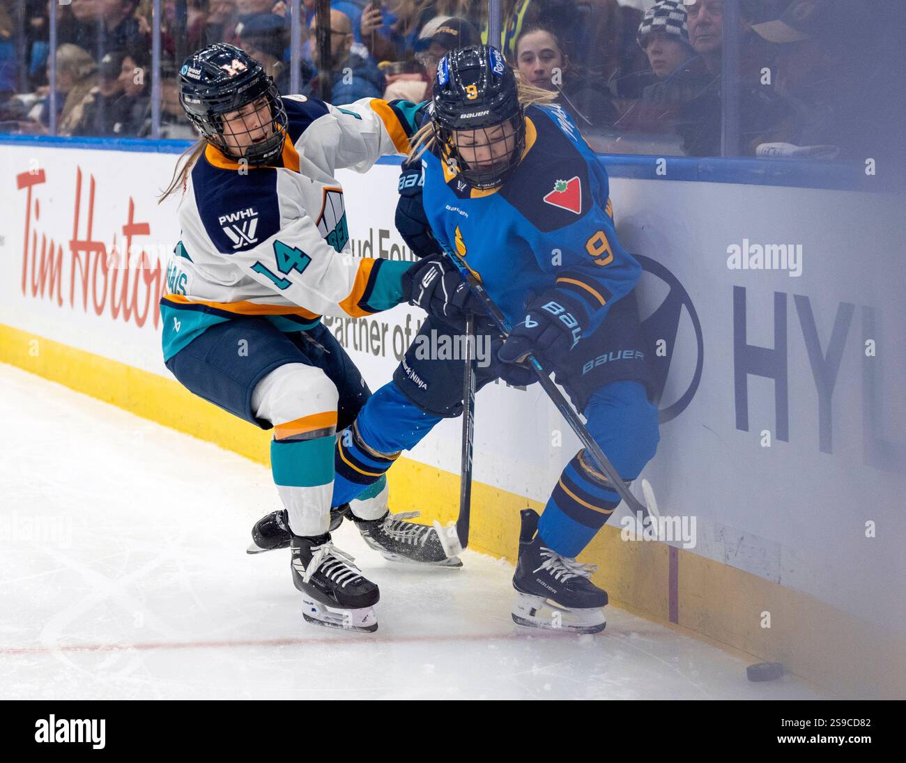 New York Sirens defender Jaime Bourbonnais (14) checks Toronto Sceptres ...