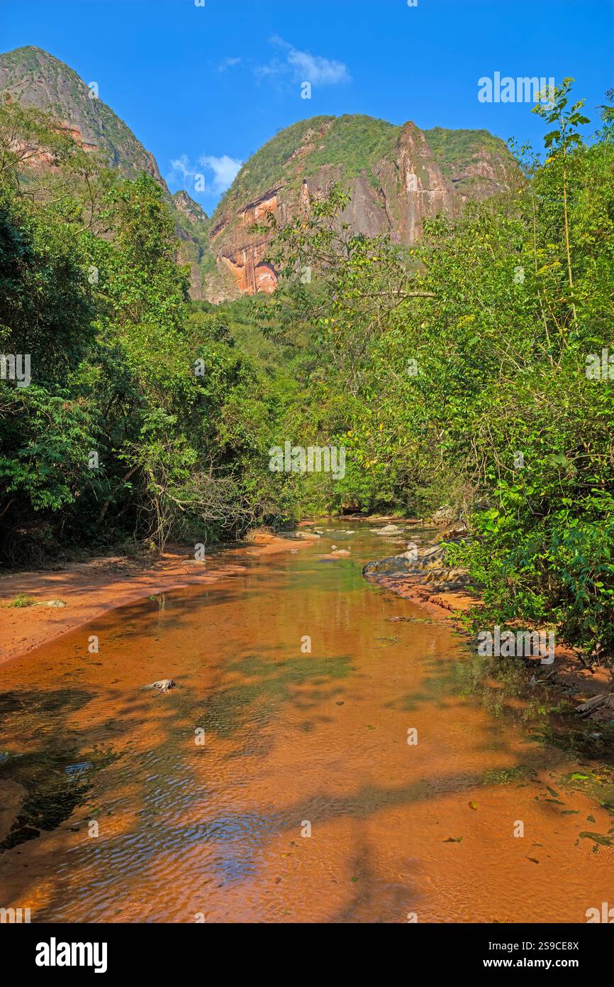 Quiet Stream in the Andean Foothills in Amboro National Park in Bolivia ...