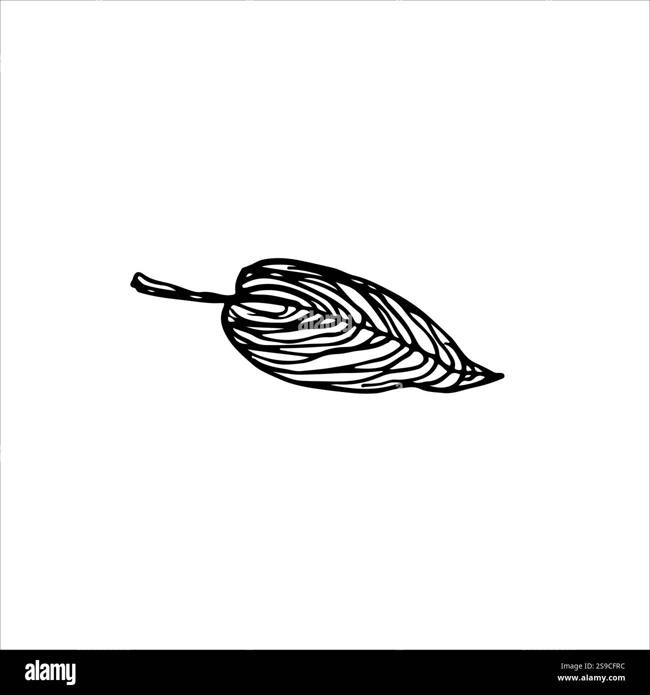 Hand-drawn black and white leaf design with organic details. Perfect ...