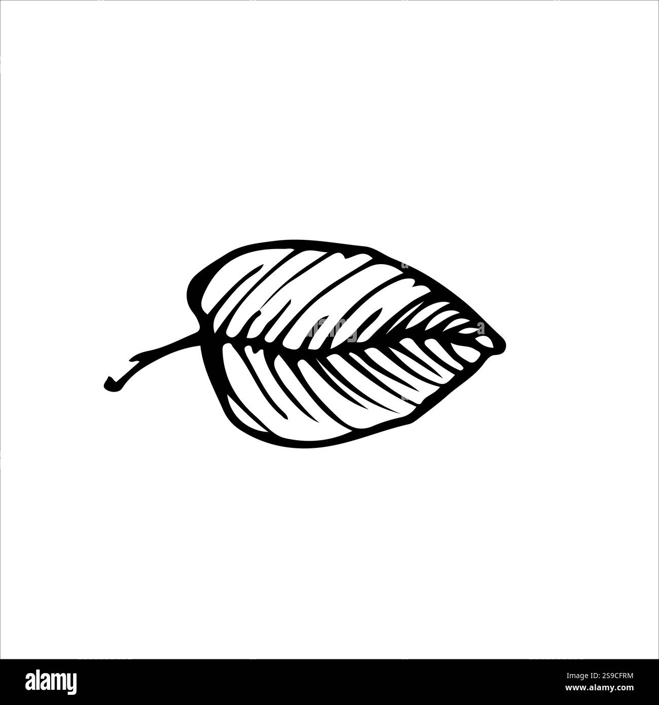 Detailed monochrome leaf illustration showcasing veins and contours ...