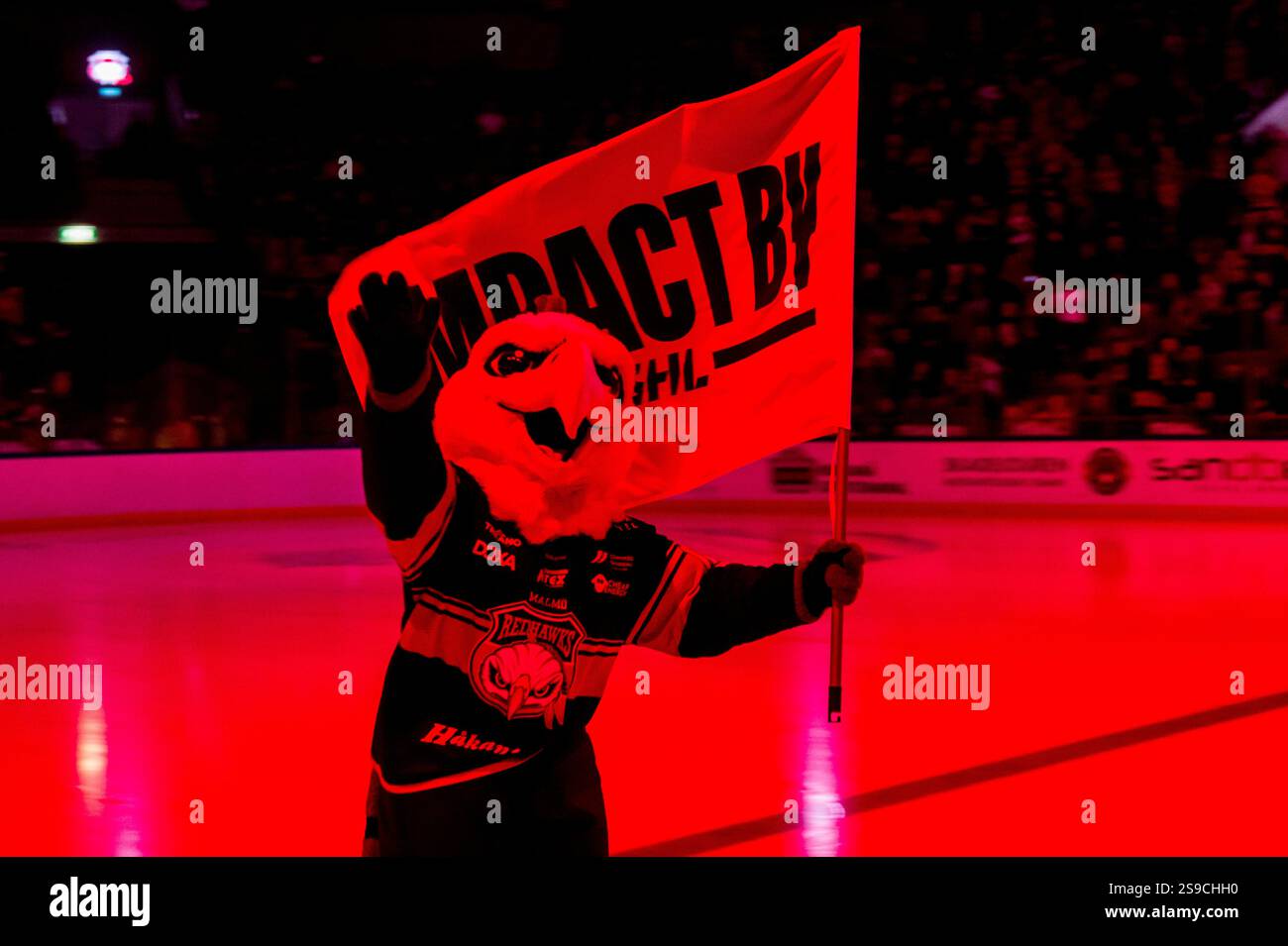 250125 Malmö Redhawks maskot Hawkan med en Impact by SHL-flagga inför ...